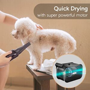 LMVVC Dog Blower Grooming Dryer with Remote Control Handle Dog Hair Dryer Dog Dryer Pet Blower with Adjustable Airflow Speed and Temperature and Anion