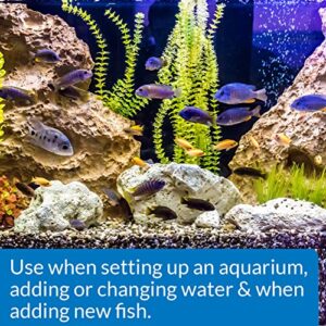 API Quick Start Freshwater and Saltwater Aquarium Nitrifying Bacteria 16-Ounce Bottle & Stress Coat Aquarium Water Conditioner 16-Ounce Bottle