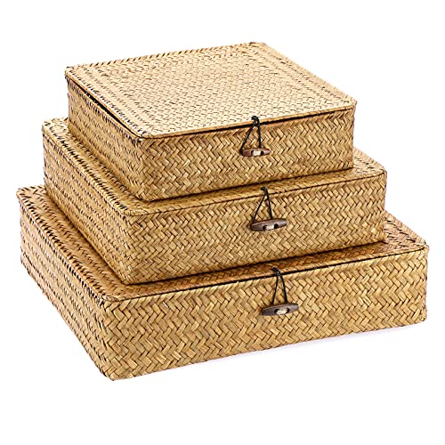 Hipiwe Flat Seagrass Storage Basket Bins with Lid - Set of 3 Wicker Baskets Bins Rectangular Woven Baskets Box Home Organizer Bins for Shelf Organizing, Large Size 14.8"x13"