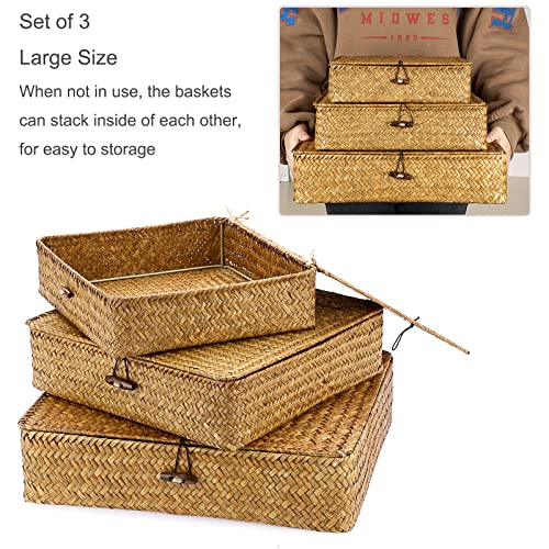 Hipiwe Flat Seagrass Storage Basket Bins with Lid - Set of 3 Wicker Baskets Bins Rectangular Woven Baskets Box Home Organizer Bins for Shelf Organizing, Large Size 14.8"x13"