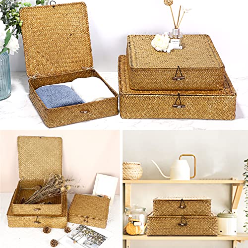 Hipiwe Flat Seagrass Storage Basket Bins with Lid - Set of 3 Wicker Baskets Bins Rectangular Woven Baskets Box Home Organizer Bins for Shelf Organizing, Large Size 14.8"x13"