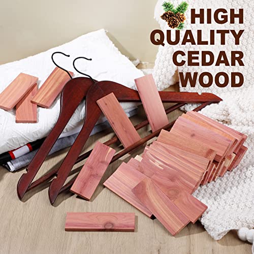 100 Pcs Cedar Blocks for Clothes Storage Aromatic Ceder Blocks Red Wood Planks Natural Cedar Accessories for Drawers and Closet Storage