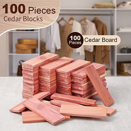 100 Pcs Cedar Blocks for Clothes Storage Aromatic Ceder Blocks Red Wood Planks Natural Cedar Accessories for Drawers and Closet Storage