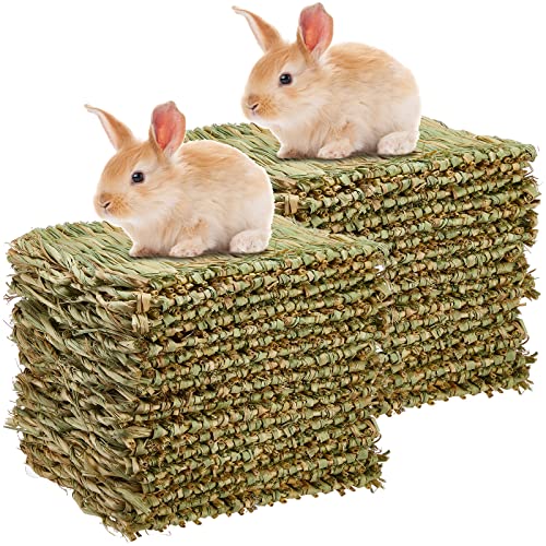 Riakrum 40 Pcs Grass mats for Rabbits Bunny Grass Mat Woven Straw Mat Bed Rabbit Sleeping Mat Natural Chew Toy Bed for Parrot Chinchilla Squirrel Hamster Cat Dog Small Animal