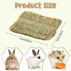 Riakrum 40 Pcs Grass mats for Rabbits Bunny Grass Mat Woven Straw Mat Bed Rabbit Sleeping Mat Natural Chew Toy Bed for Parrot Chinchilla Squirrel Hamster Cat Dog Small Animal