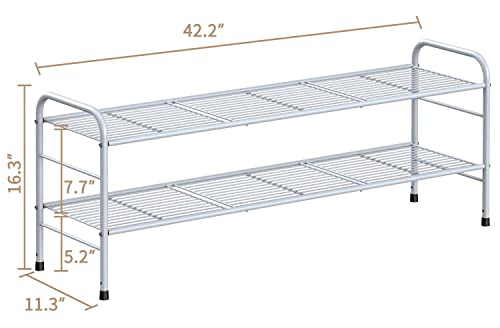 Dicasser 2-Tier Long Shoe Rack Organizer Extra Large Capacity for 18 Pairs,Silver