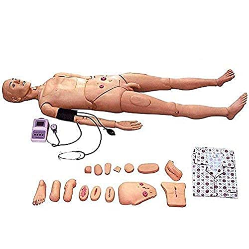 TAKESH Demonstration Human Manikin with Arm Blood Pressure Measurement Education Teaching Model Training CPR Simulator for Nursing Medical Training Life Size