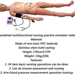 TAKESH Demonstration Human Manikin with Arm Blood Pressure Measurement Education Teaching Model Training CPR Simulator for Nursing Medical Training Life Size