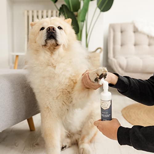 Dog Paw Cleaner (6.8 fl oz) - No-Rinse Foaming Paw Cleanser - No Artificial Fragrances or Dyes - Natural Pet Paw Cleaner for Dogs and Cats - Dandelion Allergy Relief