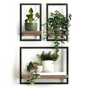 levitate floating shelves - plant shelf modular - rustic mid-century modern, wood and metal wall shelves - scandinavian small framed wall shelf set - kitchen, bathroom, bedroom (set of 3, natural)