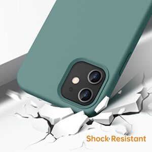 BNWW 【5 in 1 Designed for iPhone 12 Case, Designed for iPhone 12 Pro Case, Silicone Shockproof Phone Case with 2 Screen Protectors,with Anti Scratch Microfiber Lining 6.1 inch,Forest Green