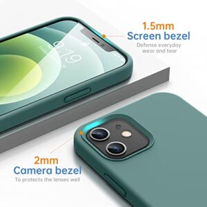 BNWW 【5 in 1 Designed for iPhone 12 Case, Designed for iPhone 12 Pro Case, Silicone Shockproof Phone Case with 2 Screen Protectors,with Anti Scratch Microfiber Lining 6.1 inch,Forest Green