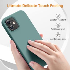 BNWW 【5 in 1 Designed for iPhone 12 Case, Designed for iPhone 12 Pro Case, Silicone Shockproof Phone Case with 2 Screen Protectors,with Anti Scratch Microfiber Lining 6.1 inch,Forest Green