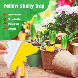 Fruit Fly Traps Refills with 16pcs Sticky Pads Traps, Safe 4pcs Gants Trap Bait Refills Liquid Replacement for Indoors Outdoor Kitchen Home Plant, Fruit Flies Refills for Reusable Fruit Fly Trap