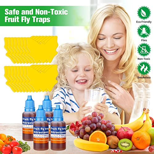 Fruit Fly Traps Refills with 16pcs Sticky Pads Traps, Safe 4pcs Gants Trap Bait Refills Liquid Replacement for Indoors Outdoor Kitchen Home Plant, Fruit Flies Refills for Reusable Fruit Fly Trap