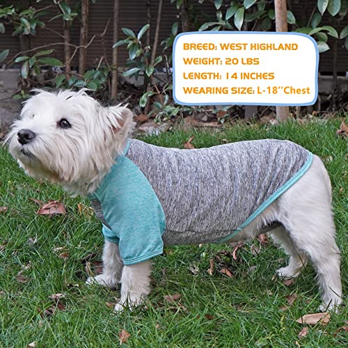 KYEESE 2 Pack Dog Shirts Raglan Sleeve Quick Dry Lightweight Stretchy Protects Against Foxtails Dog T-Shirts with Reflective Label Puppy Shirts for Small Dogs Sun Protection, Medium, Grey+Blue