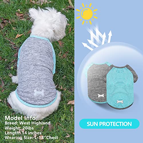 KYEESE 2 Pack Dog Shirts Raglan Sleeve Quick Dry Lightweight Stretchy Protects Against Foxtails Dog T-Shirts with Reflective Label Puppy Shirts for Small Dogs Sun Protection, Medium, Grey+Blue