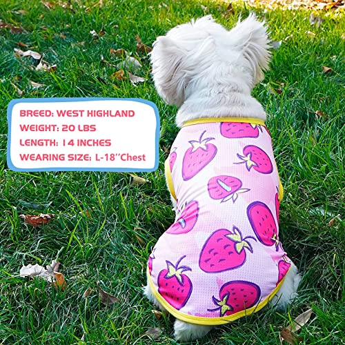 KYEESE 2 Pack Dogs Shirts Quick Dry Lightweight Dog T-Shirts with Reflective Label Tank Top Sleeveless Dog Vest for Small Dogs Puppy Clothes Strawberry Pattern Great for Summer, Large, Strawberry+Rose