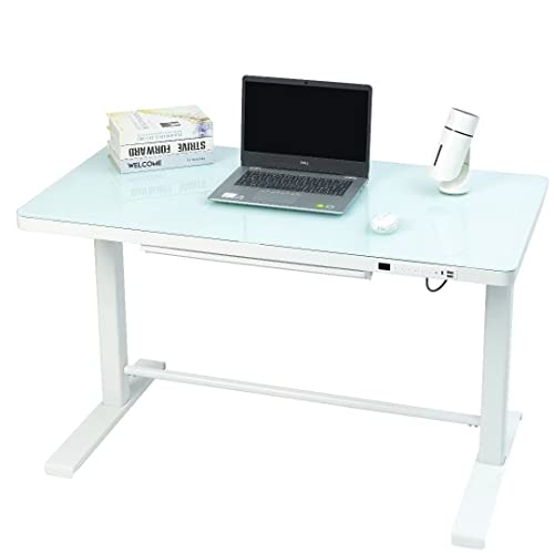 Lanxicat 46x24 Glass Electric Standing Home Office Desks Stand Up Desk Adjustable Height Desk with USB/Wireless Charging/Power Strip with Drawers (2Tempered Glass Top, White Frame, 46x24)