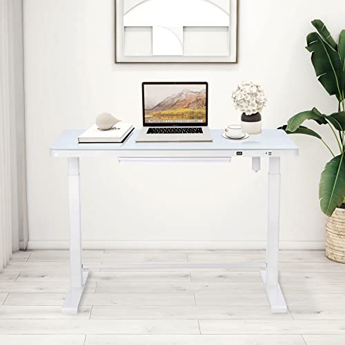 Lanxicat 46x24 Glass Electric Standing Home Office Desks Stand Up Desk Adjustable Height Desk with USB/Wireless Charging/Power Strip with Drawers (2Tempered Glass Top, White Frame, 46x24)