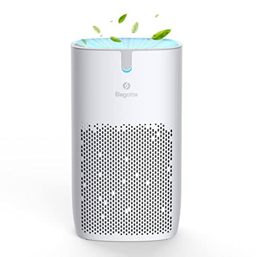 Air Purifier for Home Large Room, Bagotte 4-in-1 H13 HEPA Filter Air Purifier up to 1725 ft² in 60 Min, 24dB Quiet 4 Speeds 6 watts Sleep Mode Energy Saving, Remove 99.97% Dust Smoke Odor Ozone Free