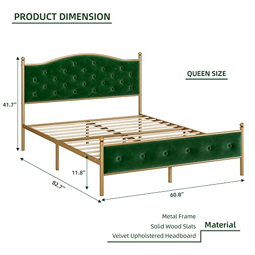 Senfot Queen Size Bed Frame Upholstered Platform Bed with Velvet and Button Tufted Headboard, Heavy Duty Metal Mattress Foundation and Wood Slats No Box Needed for Bedroom in Gold and Green