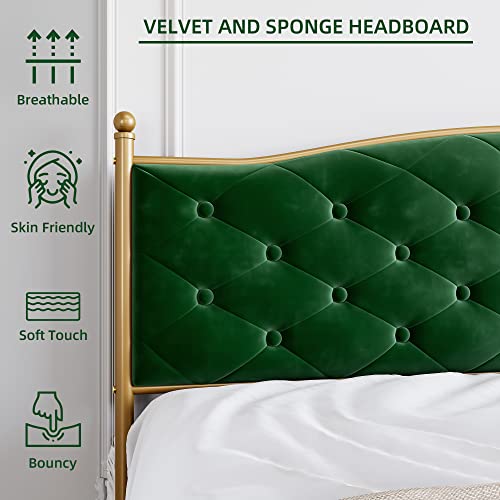 Senfot Queen Size Bed Frame Upholstered Platform Bed with Velvet and Button Tufted Headboard, Heavy Duty Metal Mattress Foundation and Wood Slats No Box Needed for Bedroom in Gold and Green