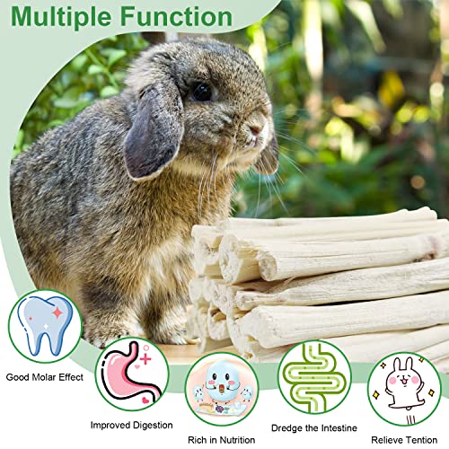 Barley Ears Sweet Bamboo Sticks for Rabbits, Guinea Pig Toys for Teeth Grinding, Rabbit Chew and Treats to Improve Dental Health, Hamster Toys for Bunny, Chinchillas, Gerbils, Rats (300g / 0.66lb)