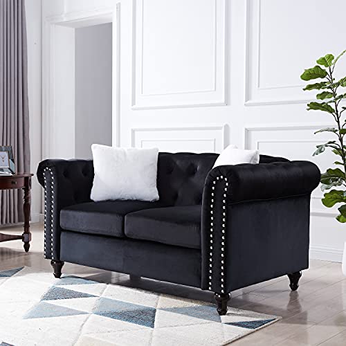 Melpomene Black Velvet Living Room Loveseat Sofa with Button Tufted Nailhead and 2 White Villose Cushions (2 seat)