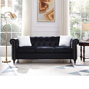 Melpomene Black Velvet Living Room Loveseat Sofa with Button Tufted Nailhead and 2 White Villose Cushions (2 seat)