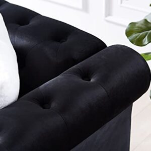 Melpomene Black Velvet Living Room Loveseat Sofa with Button Tufted Nailhead and 2 White Villose Cushions (2 seat)