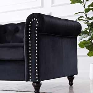 Melpomene Black Velvet Living Room Loveseat Sofa with Button Tufted Nailhead and 2 White Villose Cushions (2 seat)