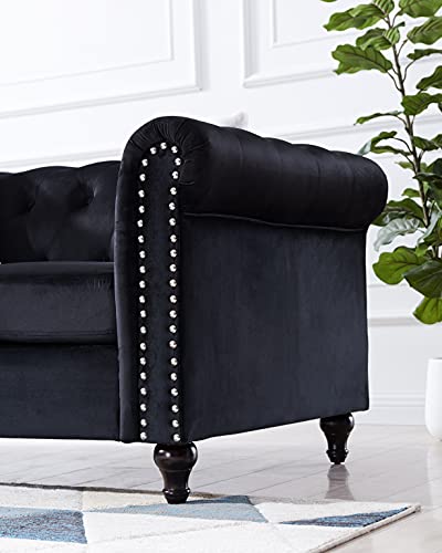 Melpomene Black Velvet Living Room Loveseat Sofa with Button Tufted Nailhead and 2 White Villose Cushions (2 seat)