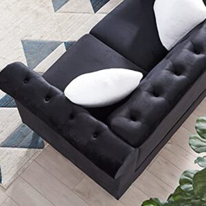 Melpomene Black Velvet Living Room Loveseat Sofa with Button Tufted Nailhead and 2 White Villose Cushions (2 seat)