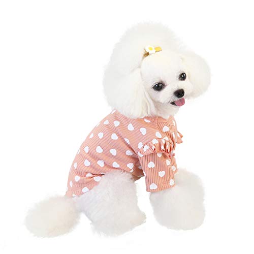 HonpraD Dog Winter Clothes for Small Dogs Boy Pet Clothes Autumn Winter Winter pet Jacket Shirt Sweater for Dogs Girl