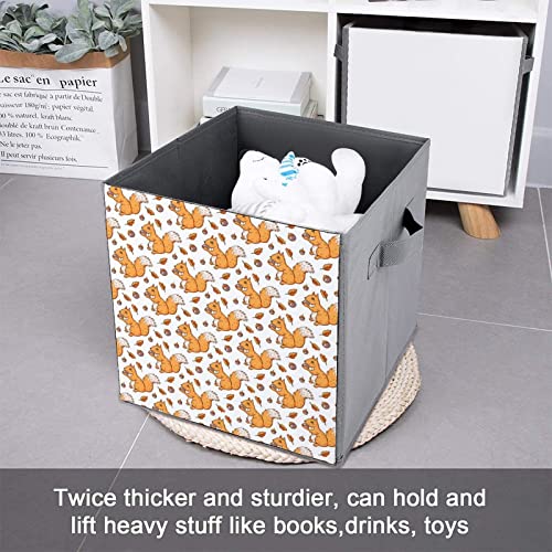 Cute Squirrel and Nuts Large Cubes Storage Bins Collapsible Canvas Storage Box Closet Organizers for Shelves