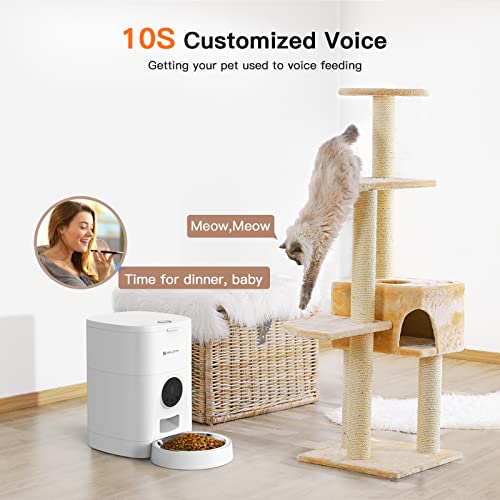 DLT-DELOTA Floodlight Outdoor Home Automatic Cat Feeder with Camera,4L Automatic Cat Feeders with 4MP Camera, 10s Voice Recorder, 2.4G WiFi Cat Feeder Automatic with Smart APP Control and Timer