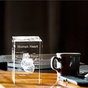 Ultrassist 3D Human Heart Crystal Model, Laser Etched Anatomical Model for Home and Office Decoration, Cardiology Gifts