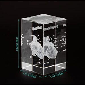 Ultrassist 3D Human Heart Crystal Model, Laser Etched Anatomical Model for Home and Office Decoration, Cardiology Gifts