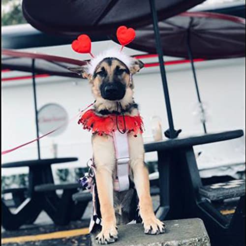 Ausejopeac Valentine's Day Dog Costume Pet Heart Headband for Dog Cat Glitter Valentine's Day Supplies