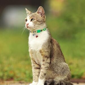 TAILGOO Breakaway Cat Collars with Bell - Spring Pet Collar 3 Pack for Kittens Puppies and Tiny Pets Small Pets