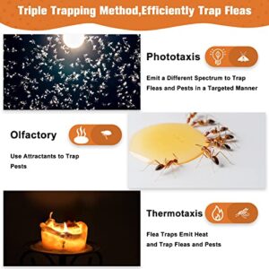 UPYEAL Flea Trap 2 Packs – Premium Traps for Inside Your Home Natural and Child-Friendly Light Indoor with Glue Discs Refills LED Lightbulb