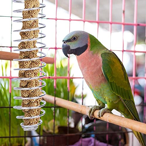 2 PCS Parrot Treat Holder,Stainless Steel Bird Food Skewer Bird Food Holder for Parrot Parakeet Cockatiels