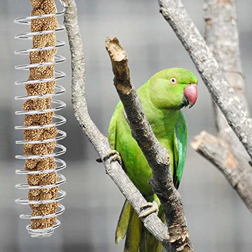 2 PCS Parrot Treat Holder,Stainless Steel Bird Food Skewer Bird Food Holder for Parrot Parakeet Cockatiels