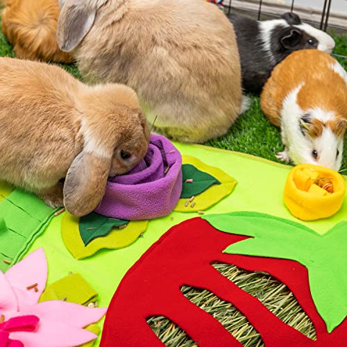 ZEEMIAS Rabbit Foraging Mat - Interactive Puzzle Pet Hay Feeder Toy Soft Polar Fleece Antislip Feeding Mat Indoor for Bunny GuineaPig Rat Chinchillas Hedgehog Small Animals