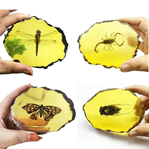 Amber Fossils Insect Samples Artificial Amber Insect Specimen Pendant Stone Decoration Crystal Samples Collection Science Education Dragonflies, Cicadas, Scorpions, Butterflies (4 Combinations)