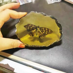 Amber Fossils Insect Samples Artificial Amber Insect Specimen Pendant Stone Decoration Crystal Samples Collection Science Education Dragonflies, Cicadas, Scorpions, Butterflies (4 Combinations)