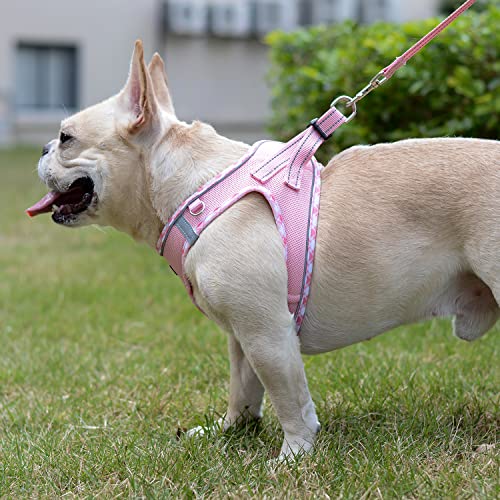 Mercano Soft Mesh Dog Harness and Leash Set, No-Chock Step-in Reflective Breathable Lightweight Easy Walk Escape Proof Vest Harnesses with Safety Buckle for Small Medium Dogs, Cats (Pink, M)