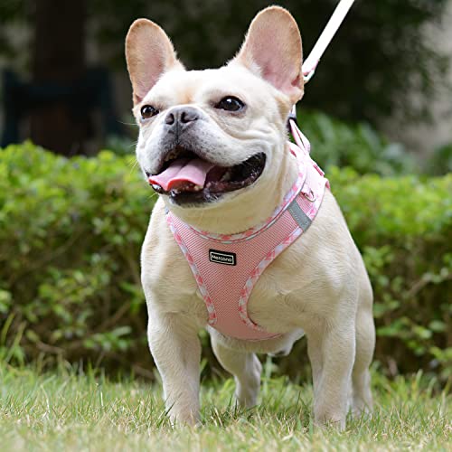 Mercano Soft Mesh Dog Harness and Leash Set, No-Chock Step-in Reflective Breathable Lightweight Easy Walk Escape Proof Vest Harnesses with Safety Buckle for Small Medium Dogs, Cats (Pink, M)