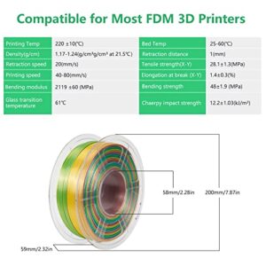 Silk PLA 3D Printer Filament, Dimensional Accuracy +/- 0.03 mm, 1 kg Spool(2.2lbs), PLA Shiny Filament 1.75 mm (Multicolored)